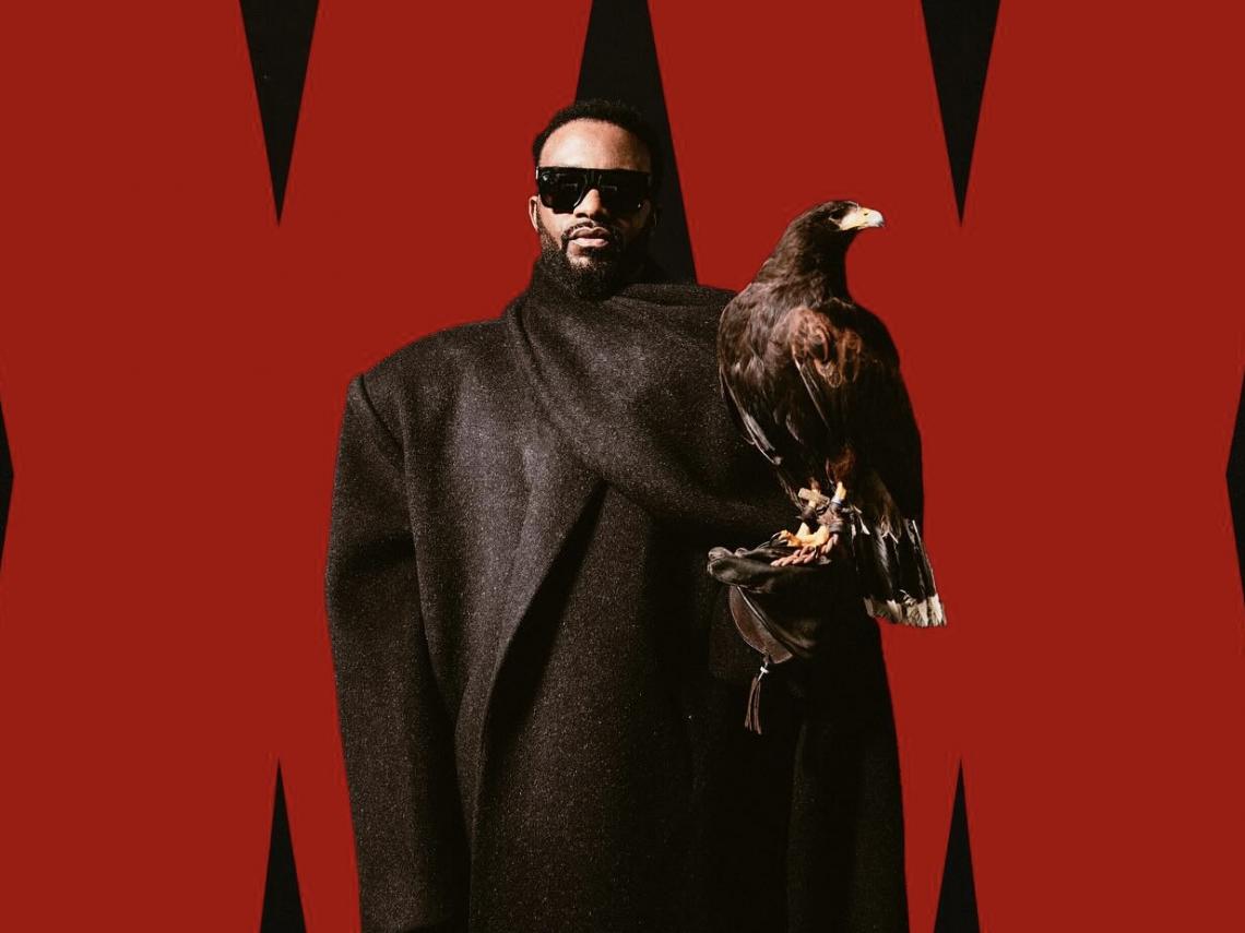 La billetterie ouverte pour le concert de Fally au stade de France ...